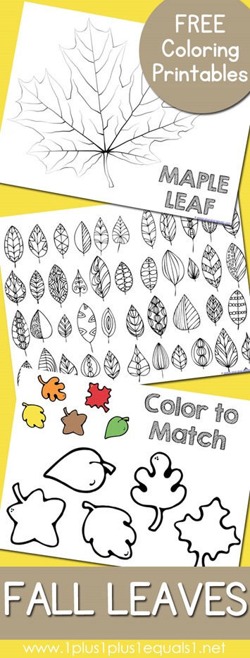Fall Leaves and Trees Coloring Printables | 1+1+1=1 | Bloglovin’